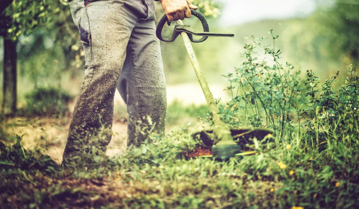 Débroussaillage 13 | Jardinier Lançon de Provence : Specialiste de ...